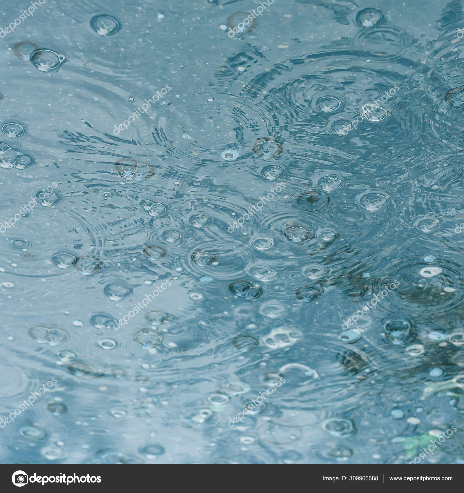Blue Background Puddle Rain Raindrops Circles Puddle Bubbles Water ...