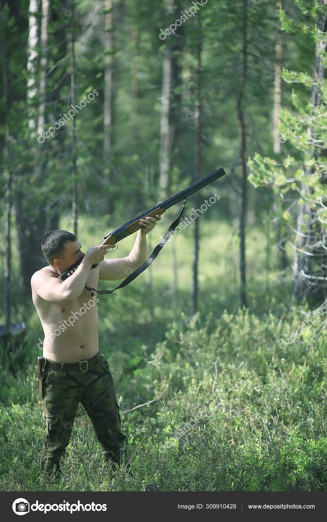 Man Goes Hunting Forest Summer Landscape Forest Huntsman Hunting Rifle ...