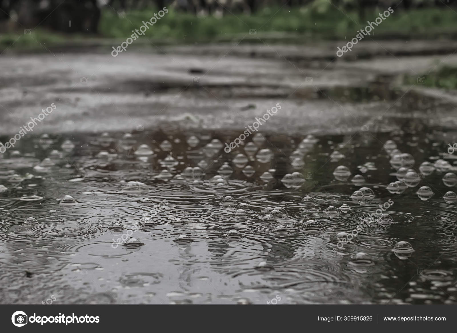 Background Puddle Rain Circles Drops Puddle Texture Bubbles Water ...