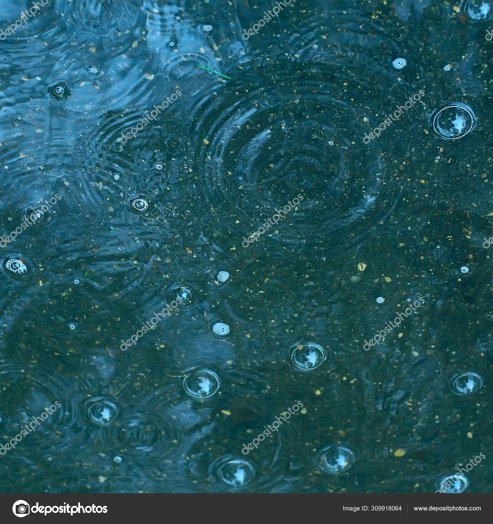 Blue Background Puddle Rain Raindrops Circles Puddle Bubbles Water ...