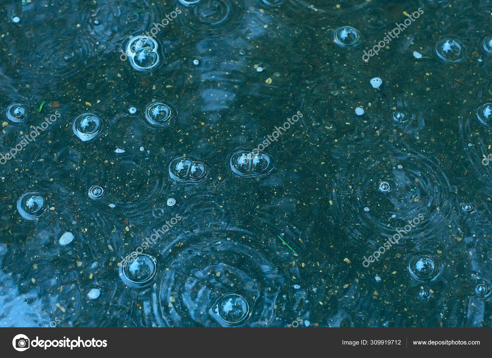 Blue Background Puddle Rain Raindrops Circles Puddle Bubbles Water ...