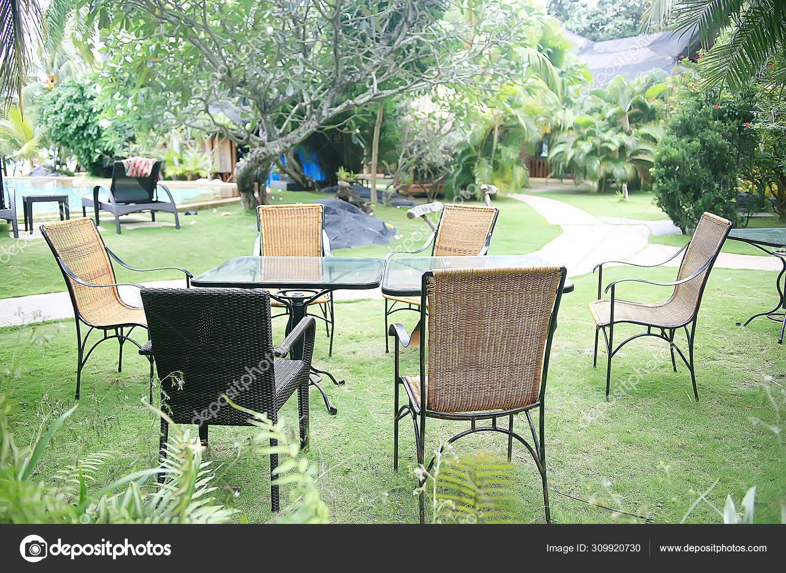 Hotel Chaise Lounges Pool Rest Tropical Hotel Comfortable Rest ...