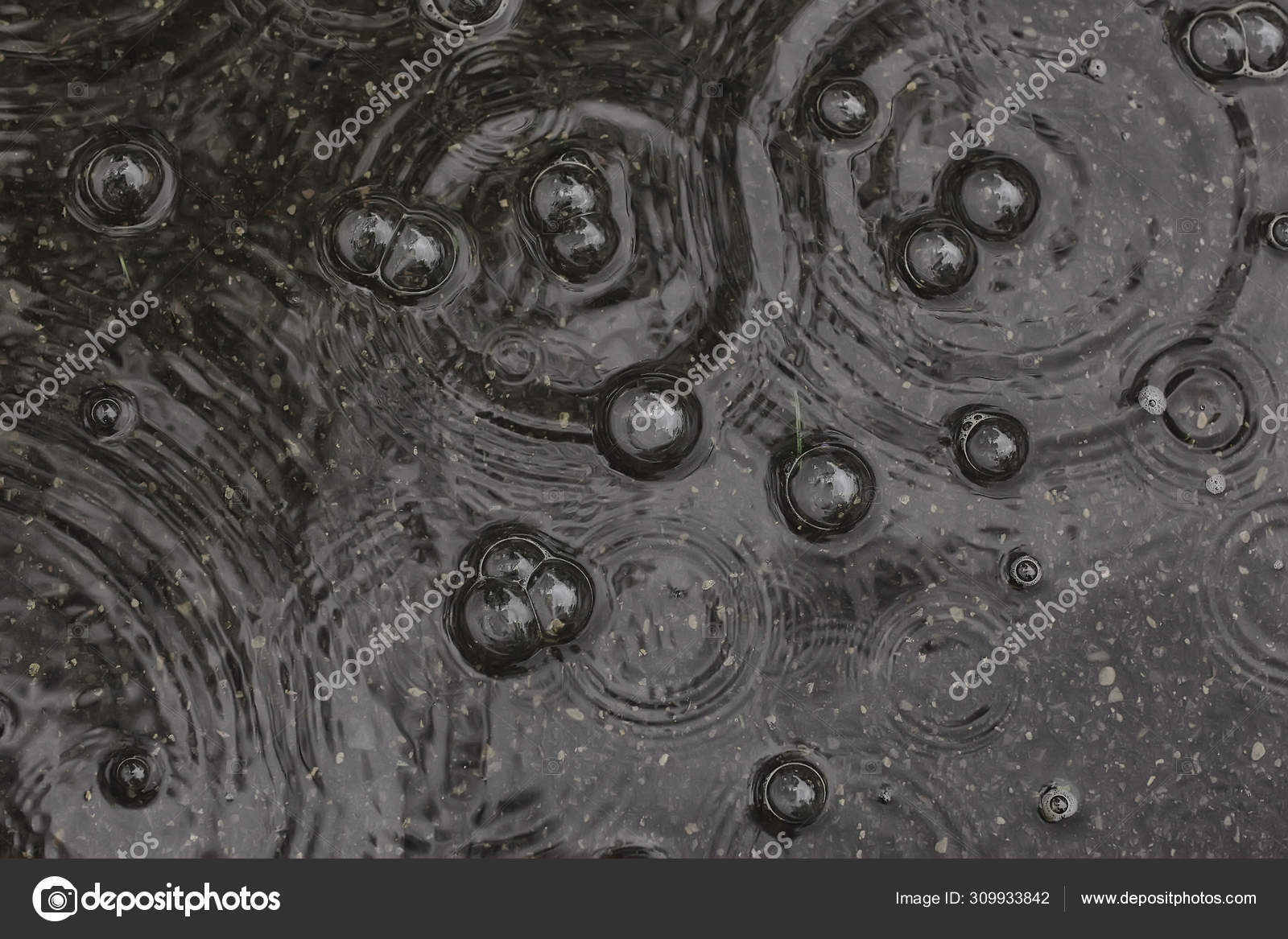 Background Puddle Rain Circles Drops Puddle Texture Bubbles Water ...