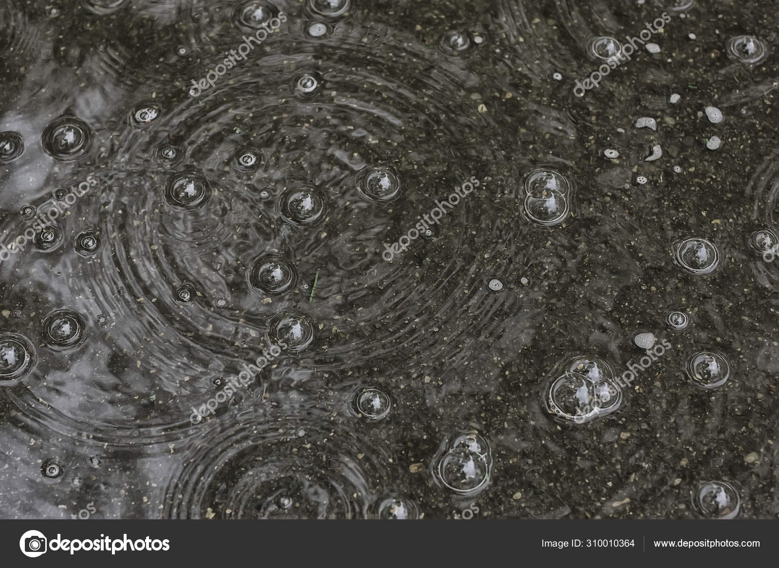 Background Puddle Rain Circles Drops Puddle Texture Bubbles Water ...