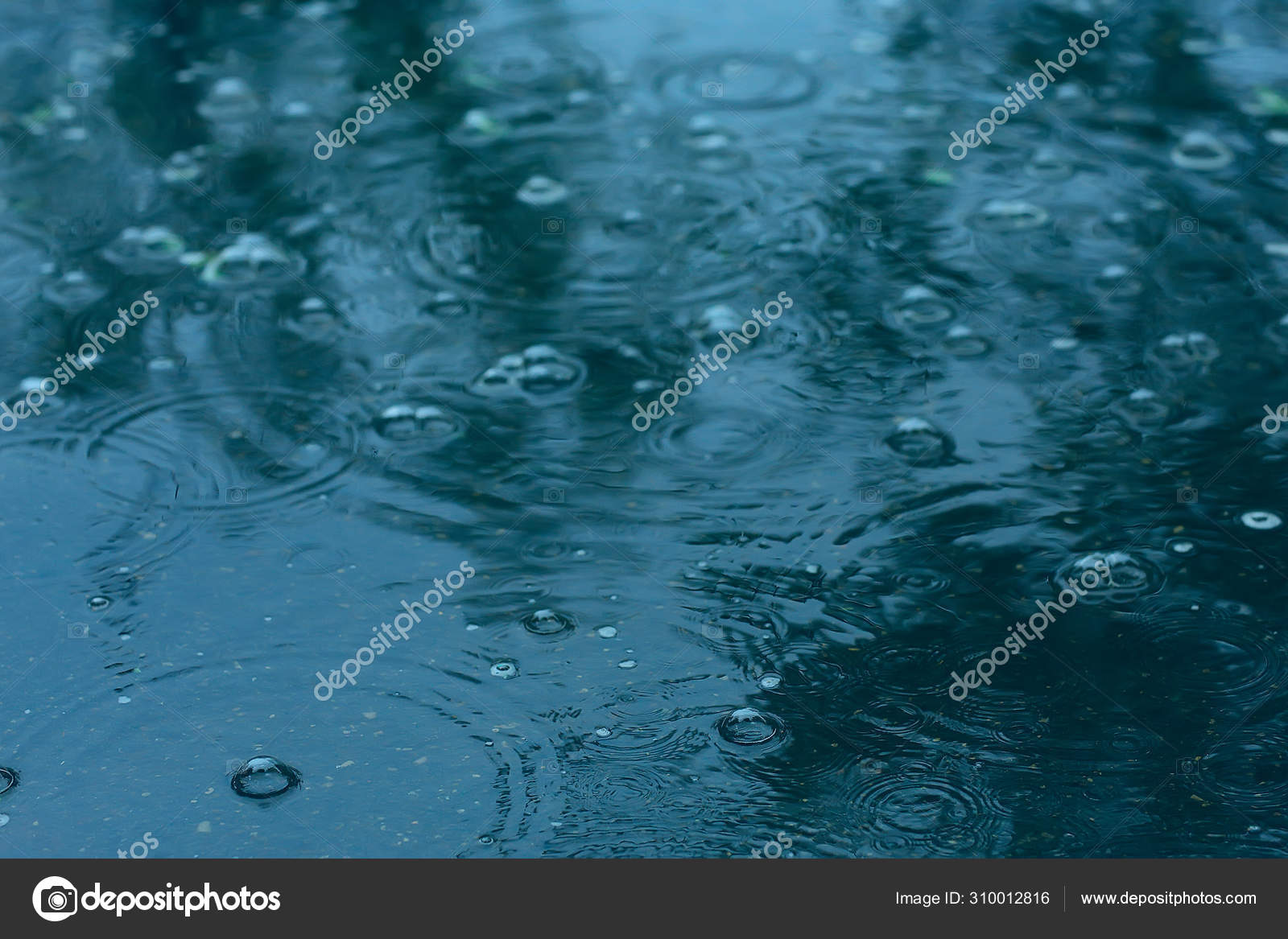 Blue Background Puddle Rain Raindrops Circles Puddle Bubbles Water ...