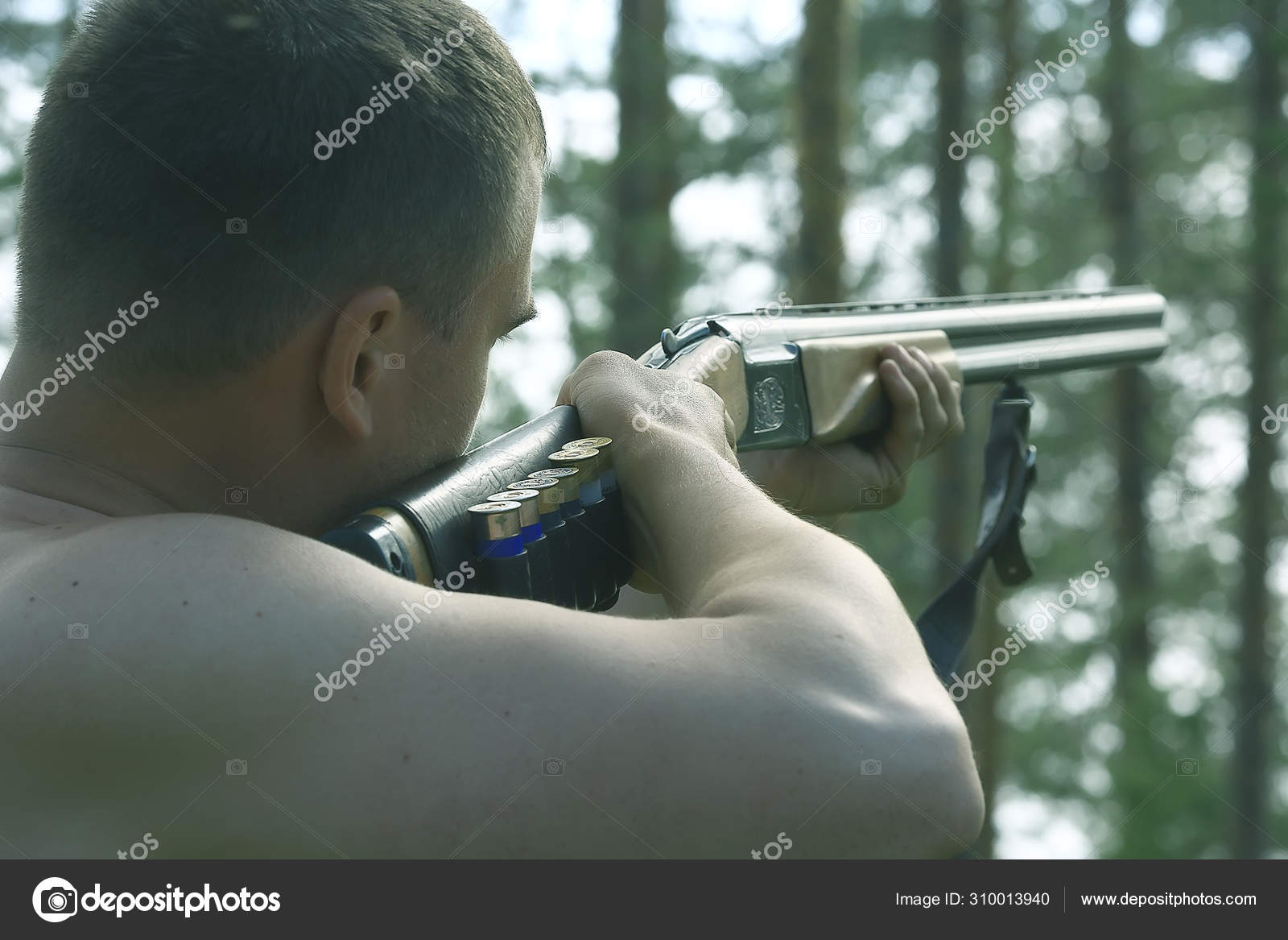 Man Goes Hunting Forest Summer Landscape Forest Huntsman Hunting Rifle ...