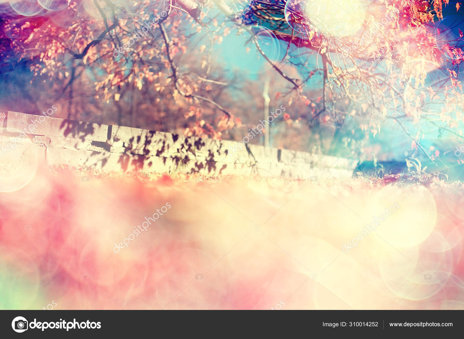 Abstract Park Wallpaper