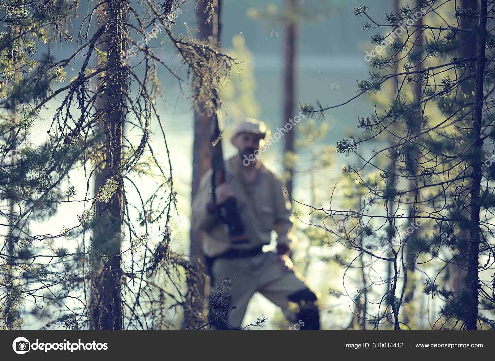 Man Goes Hunting Forest Summer Landscape Forest Huntsman Hunting Rifle ...