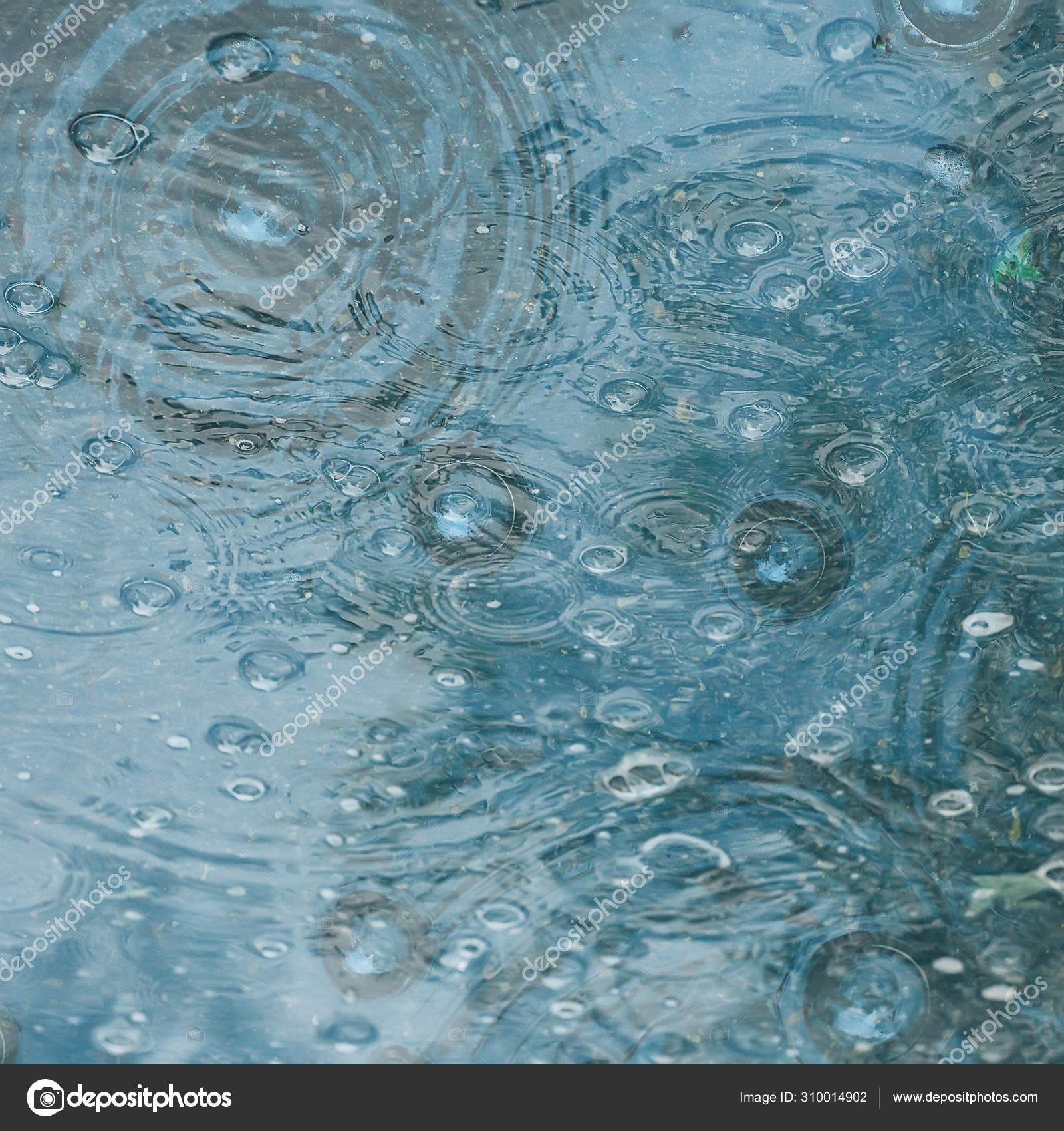 Blue Background Puddle Rain Raindrops Circles Puddle Bubbles Water ...