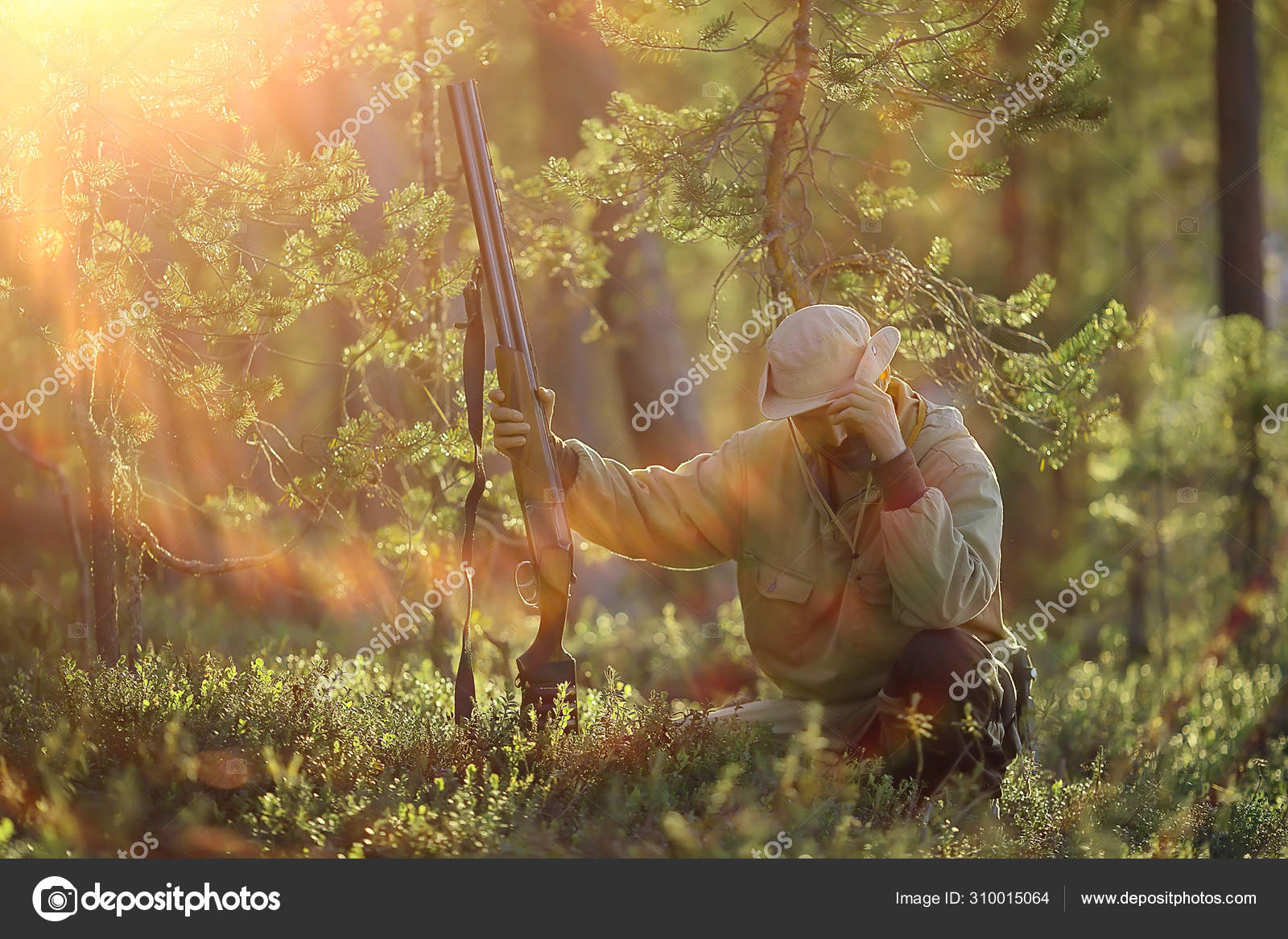 Man Goes Hunting Forest Summer Landscape Forest Huntsman Hunting Rifle ...