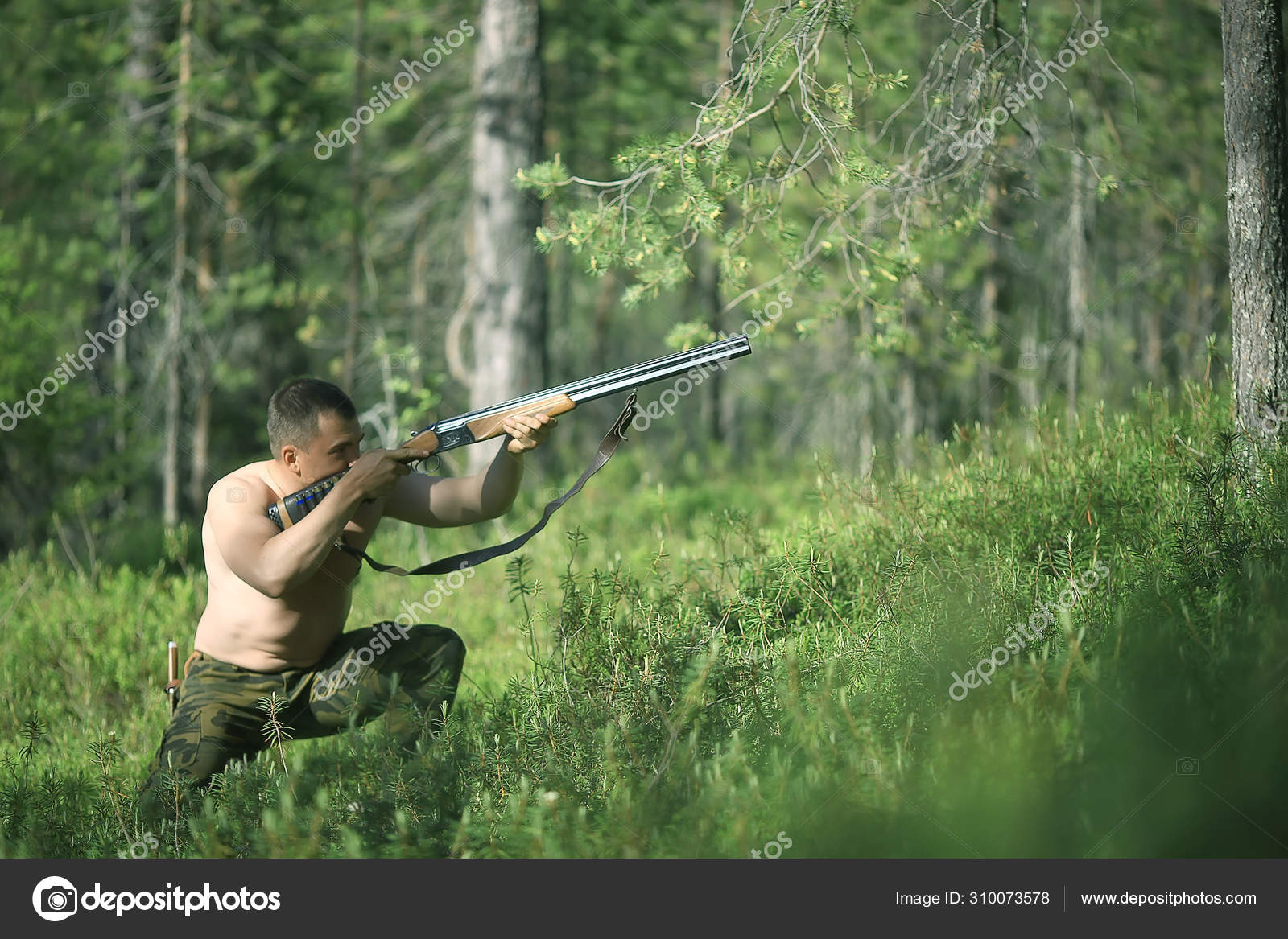 Man Goes Hunting Forest Summer Landscape Forest Huntsman Hunting Rifle ...