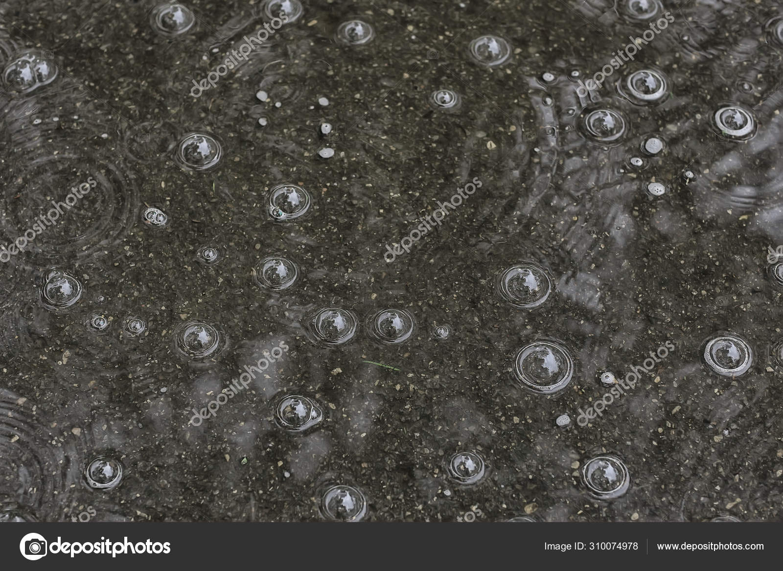 Background Puddle Rain Circles Drops Puddle Texture Bubbles Water ...