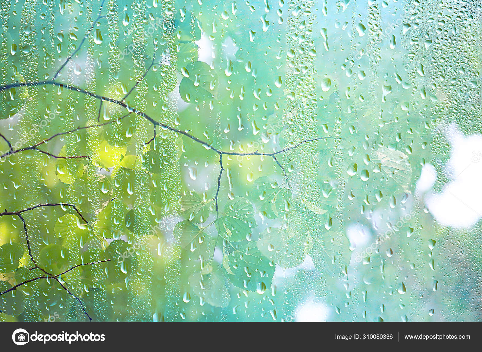 Window Outside Wallpaper