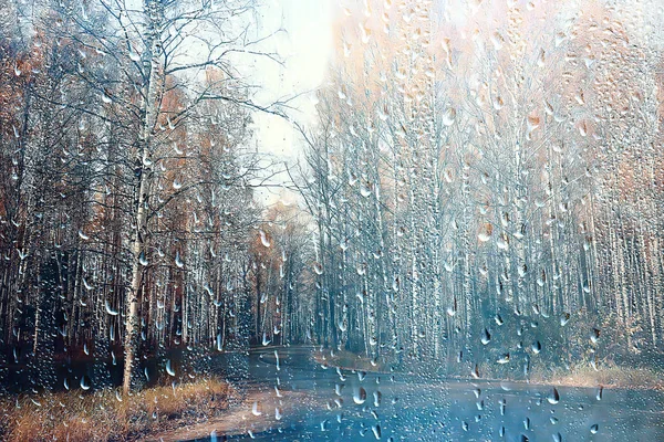 rain window autumn park branches leaves yellow / abstract autumn ...