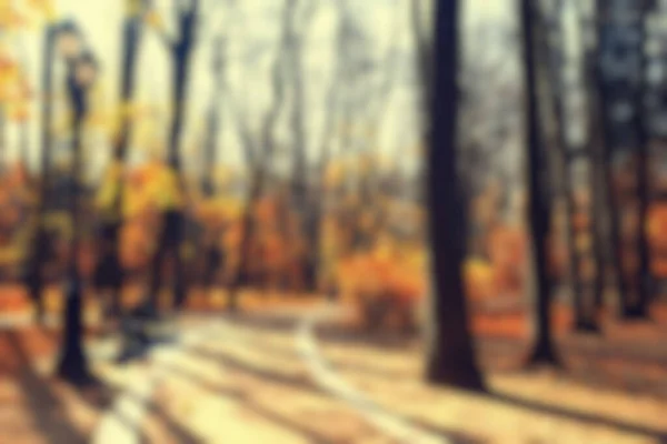 Forest background blur Stock Photos, Royalty Free Forest background blur Images | Depositphotos