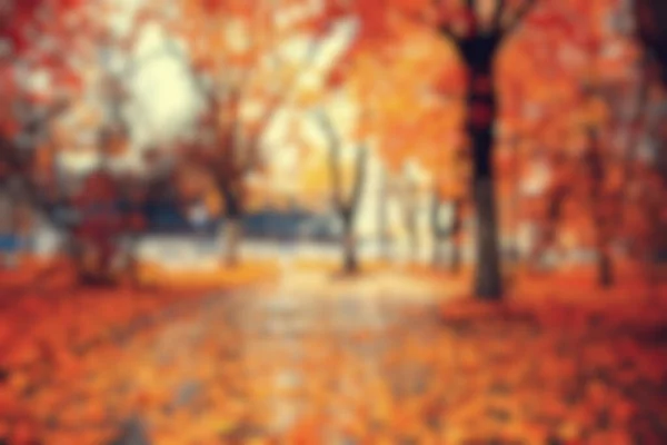 blurred background autumn forest, abstract art sunny autumn park, glow yellow october view ...