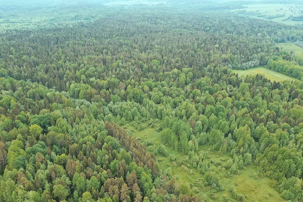 Forest top view Images - Search Images on Everypixel