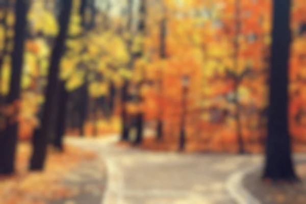 blurred background autumn forest, abstract art sunny autumn park, glow yellow october view ...