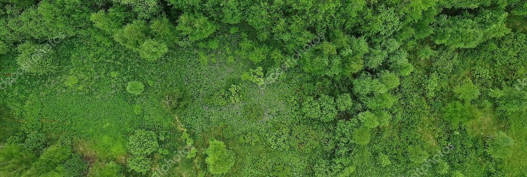 A top view of the landscape Stock Photos, Royalty Free A top view of ...