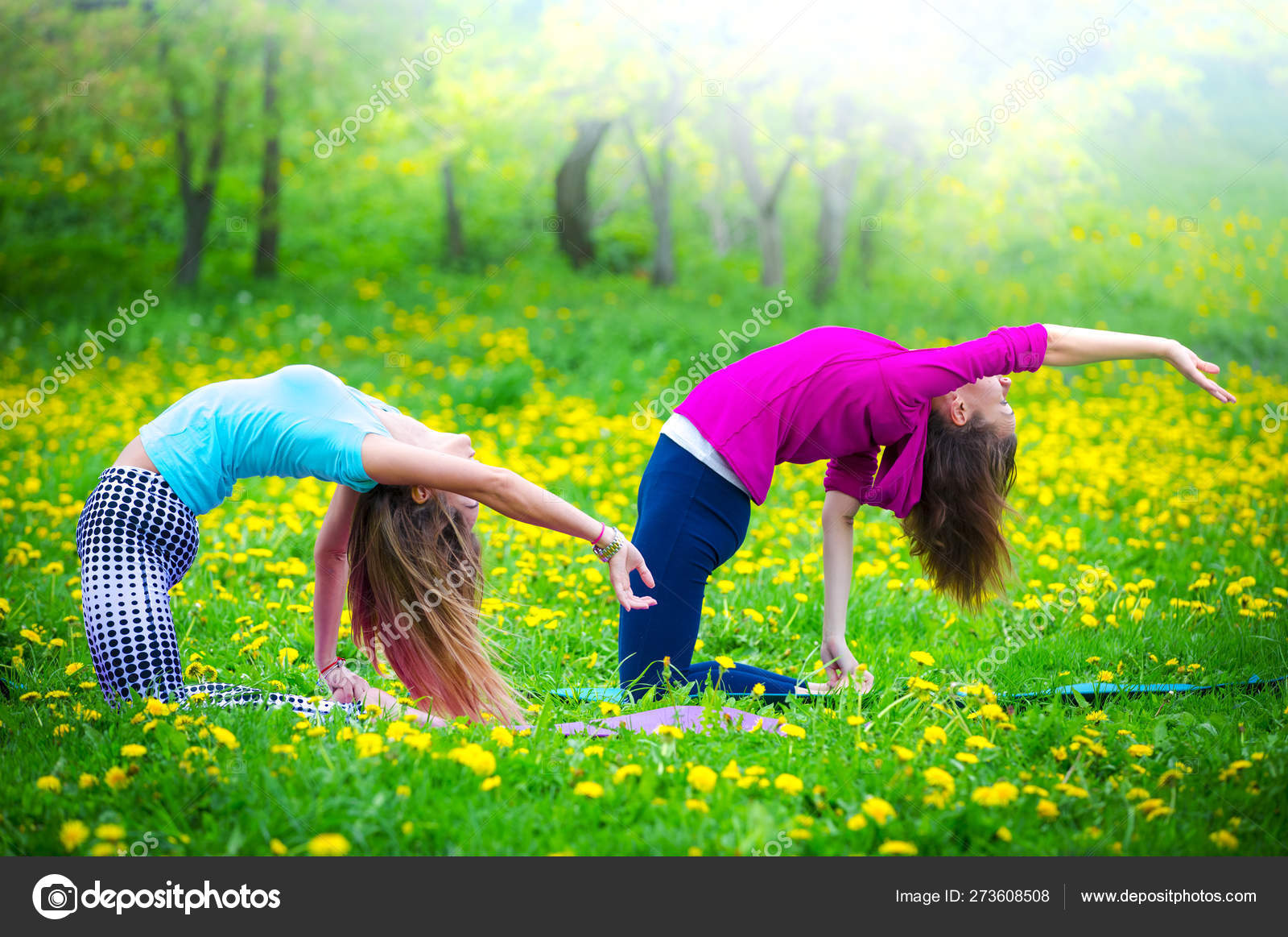 Girls Practicing Stretching Exercises Beautiful Young Women Doing ...