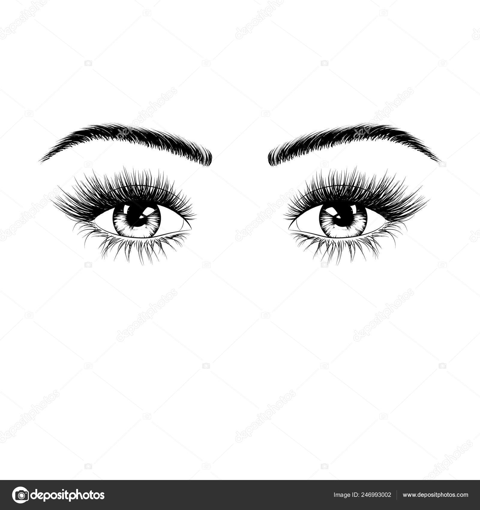 Hand Drawn Female Eyes Silhouette Eyes Eyelashes Eyebrows Vector ...