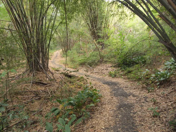 Winding path Stock Photos, Royalty Free Winding path Images | Depositphotos