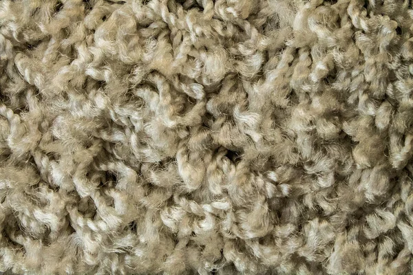 Carpet. Samples of carpet for laying on the floor in the room. Examples ...