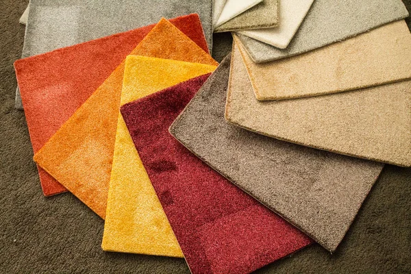 Carpet Samples Carpet Laying Floor Room Examples Varieties Stock Photo ...