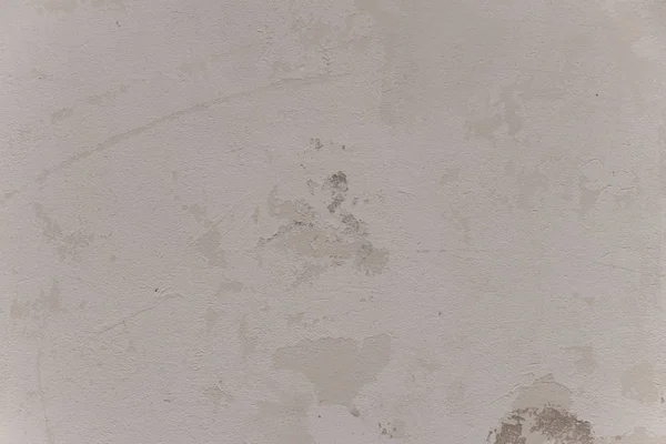 Scuncheon Pictures, Scuncheon Stock Photos & Images | Depositphotos®