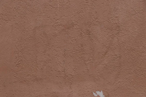 Scuncheon Pictures, Scuncheon Stock Photos & Images | Depositphotos®