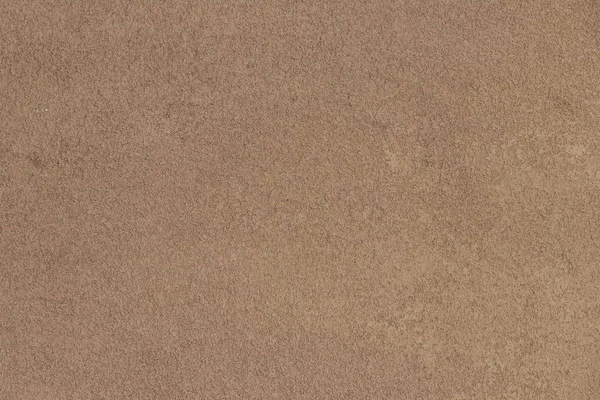 Scuncheon Pictures, Scuncheon Stock Photos & Images | Depositphotos®