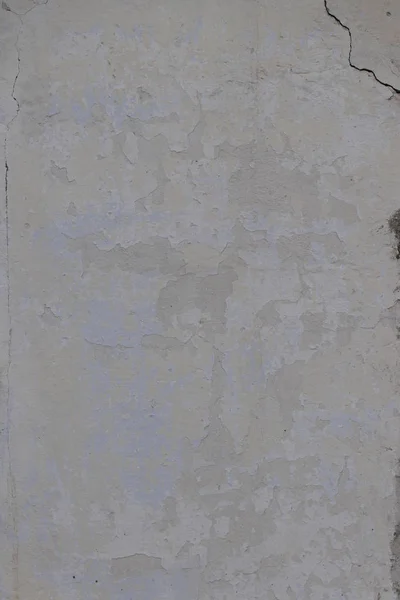 Scuncheon Pictures, Scuncheon Stock Photos & Images | Depositphotos®