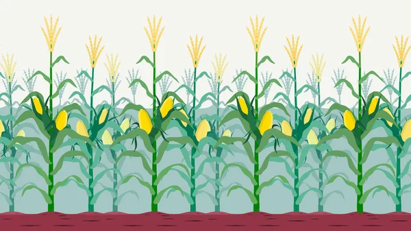 Corn Field Clip Art