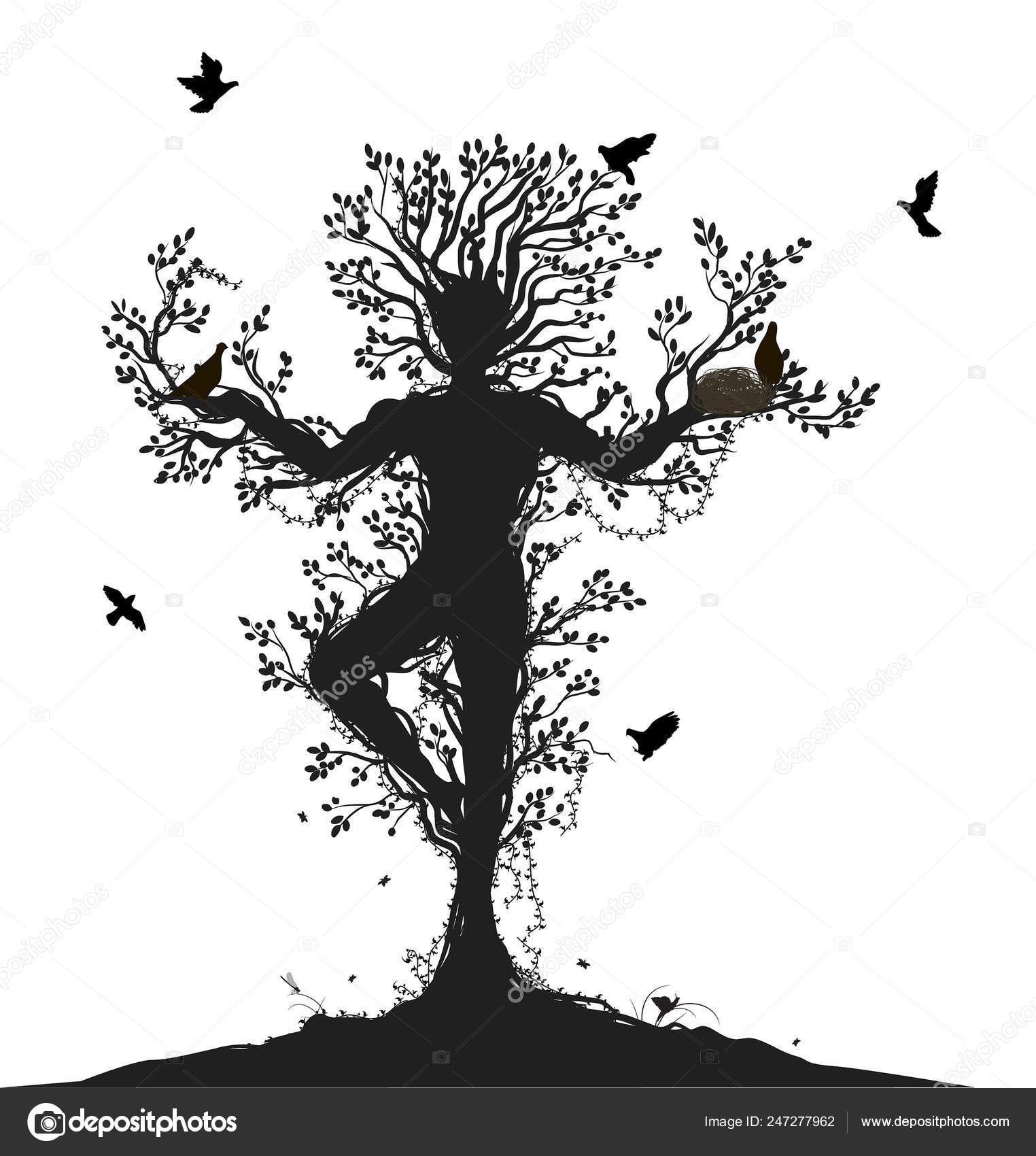 Tree soul, spirit of the forest, birds return to the alive tree, Stock ...
