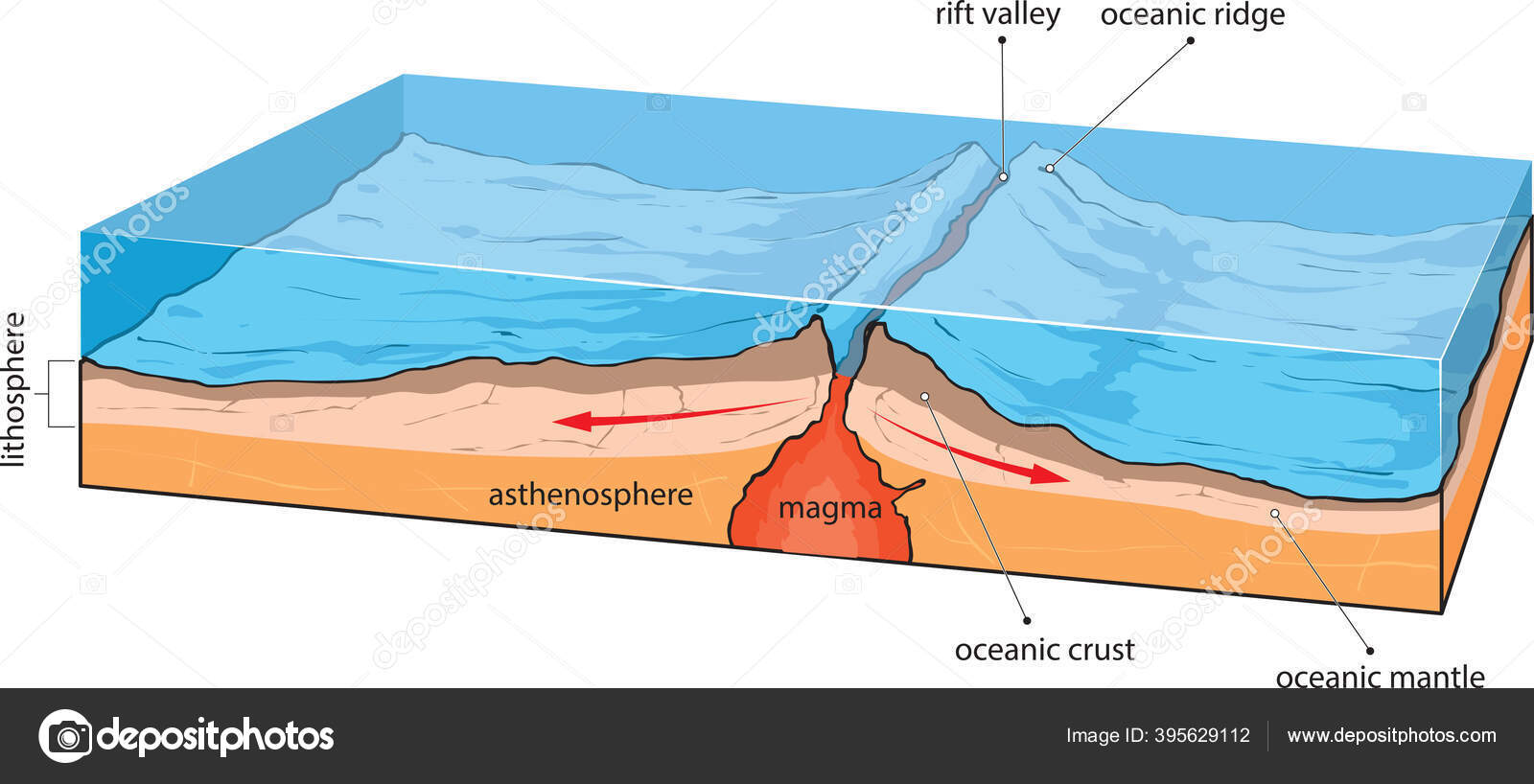 Vector Illustration Shows Oceanic Crust Divergence Stock Vector Image by ©Lukaves #395629112