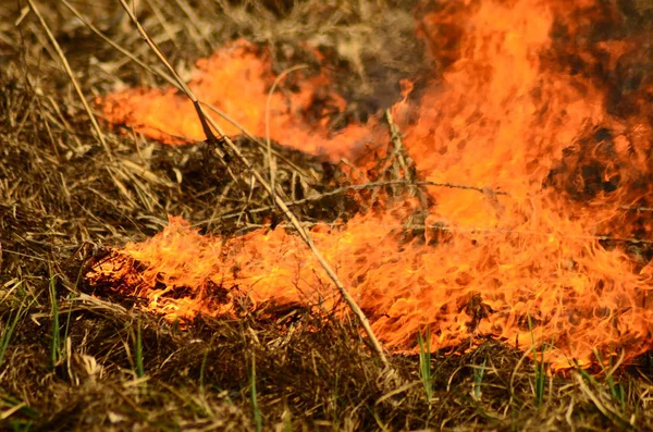 Burning turf Stock Photos, Royalty Free Burning turf Images | Depositphotos