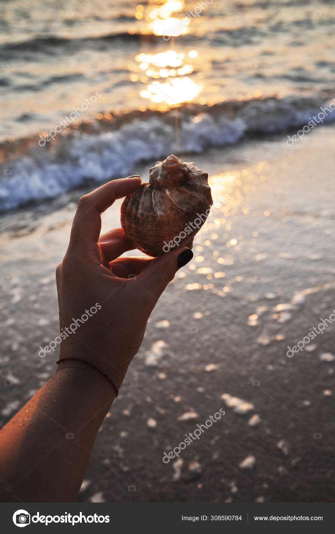 Big Seashell Sea Beach Stock Photo by ©AlenaPhoto 308590784