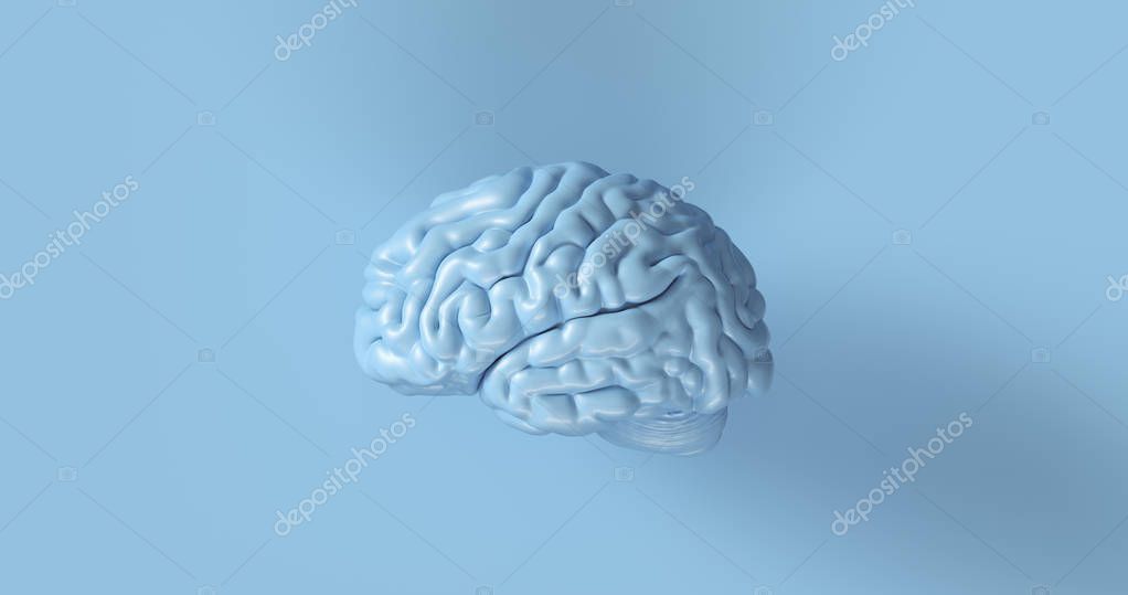 Azul cerebro humano modelo anatómico 3d ilustración 2024