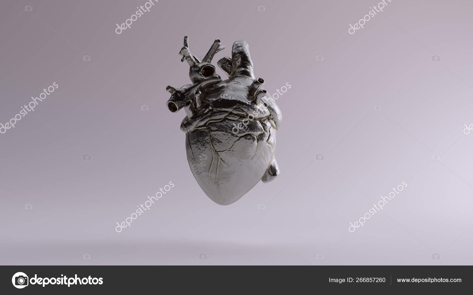 Silver Anatomical Heart Illustration Render Stock Photo by ©80sChild ...