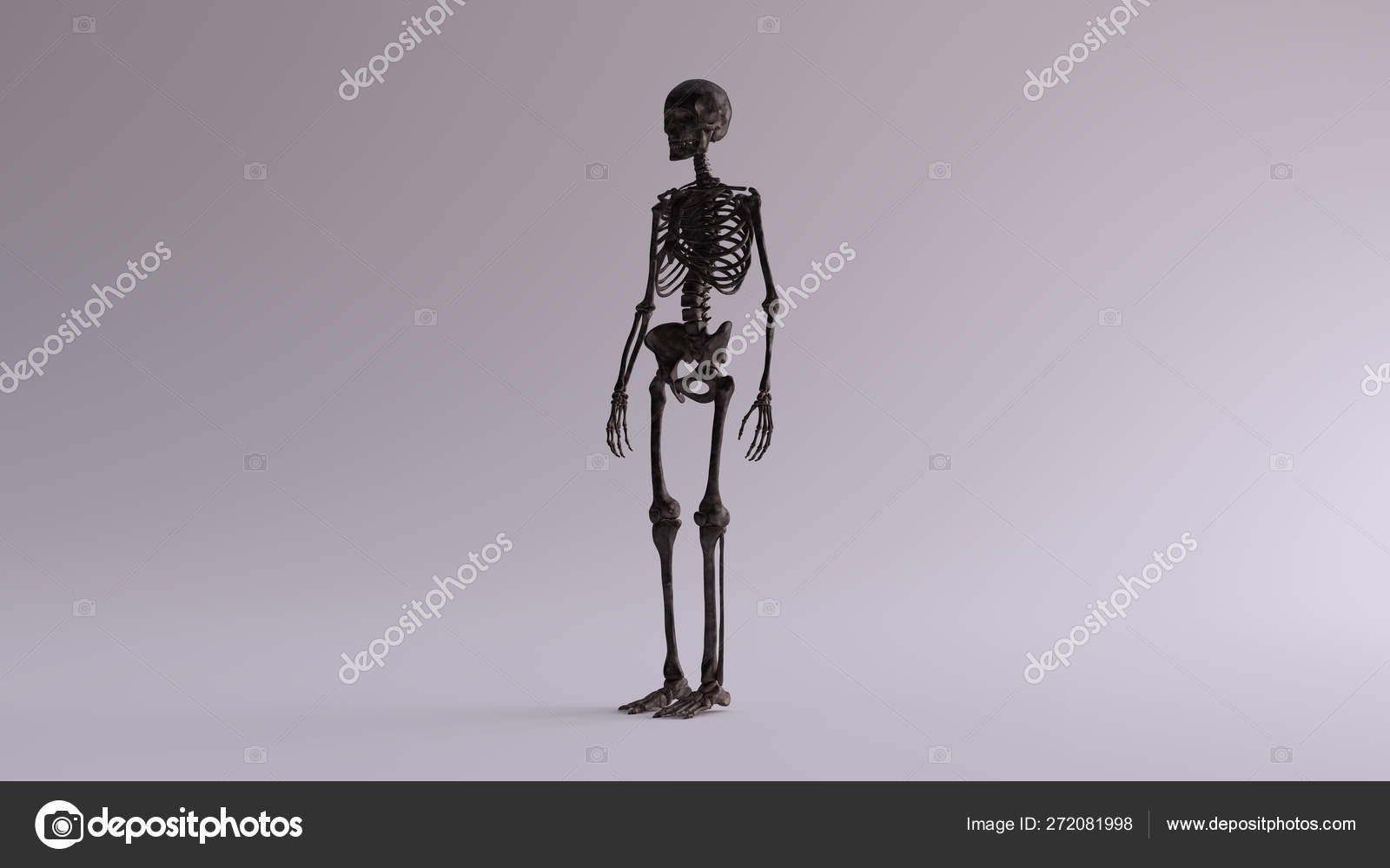 Black Iron Skeletal System Anatomical Model Quarter Front Left View ...