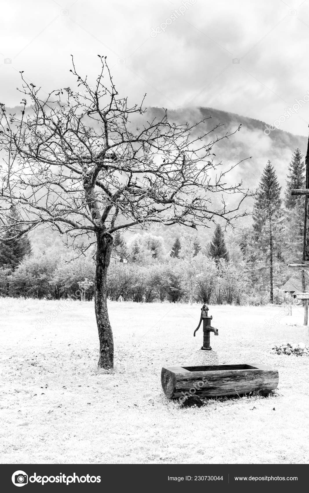 Water Column Tap Source Wooden Trough Ukanc Rural Village Garden ...