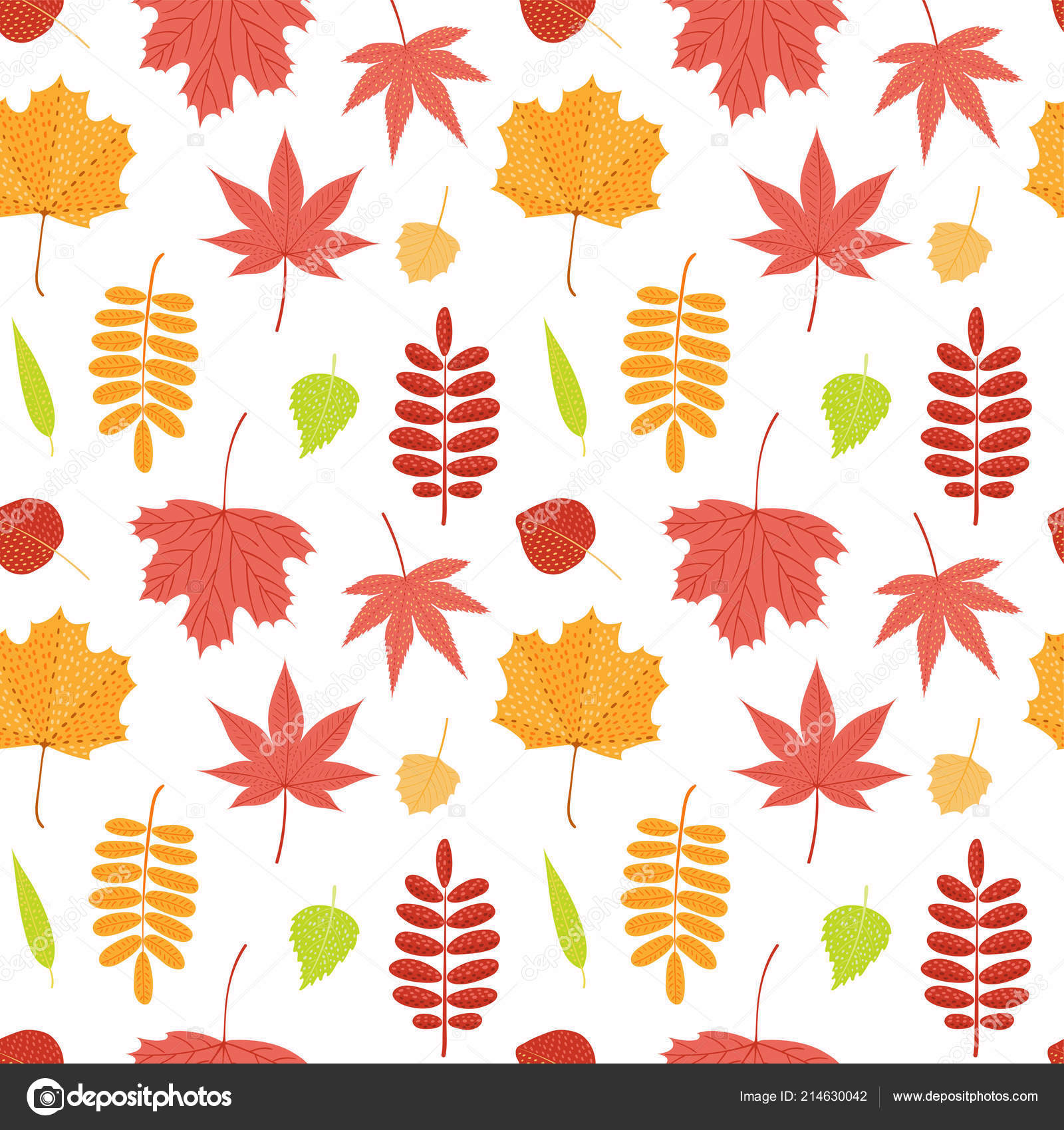 Seamless Repeat Pattern Different Falling Leaves White Background Hand ...