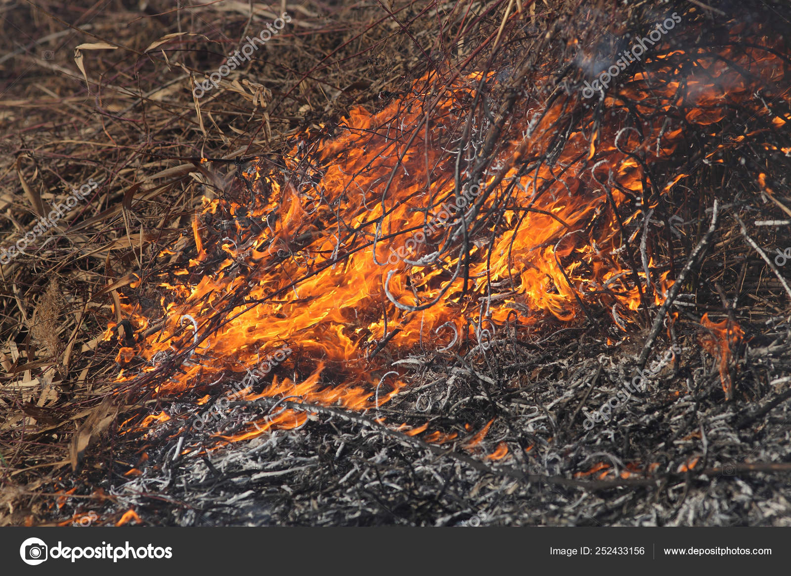 Fire in marsh, natural disaster — Stock Photo © simazoran #252433156