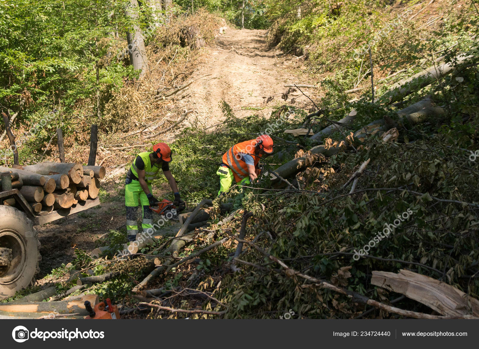 Hard Work Forest Men Working Cutting Trees — Stock Photo © laszlo111 ...