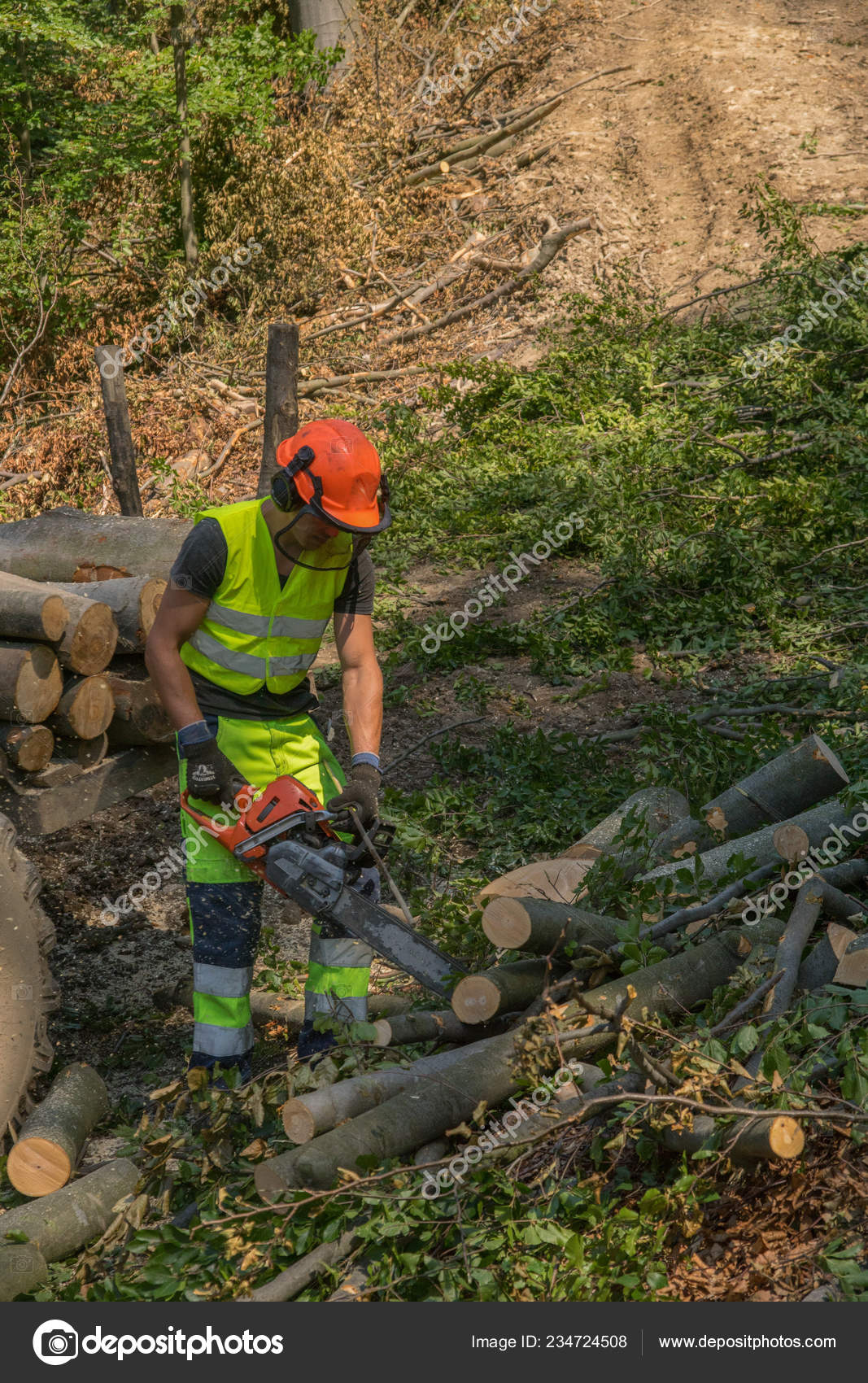 Hard Work Forest Men Working Cutting Trees Stock Photo by ©laszlo111 ...
