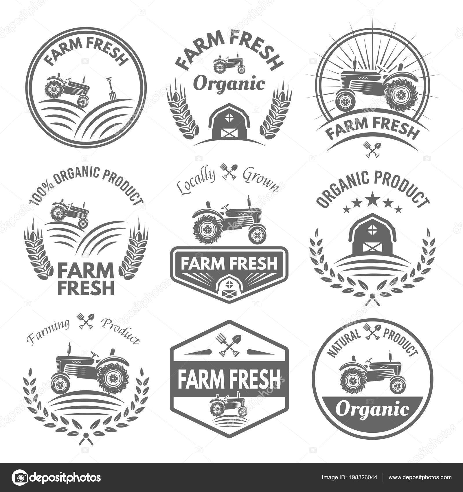 Farm fresh vector product labels and emblems Stock Vector by ©Flat_Enot ...