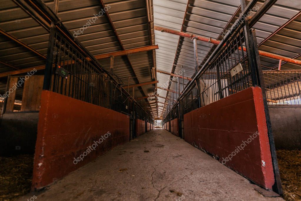 Interior del establo vacío. Industria agraria, ganadería y ganadería 2024