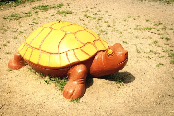 World turtle Stock Photos, Royalty Free World turtle Images | Depositphotos