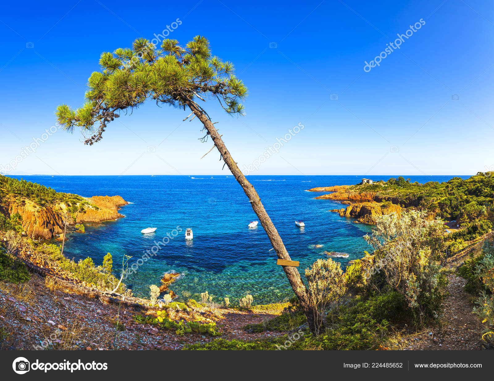Esterel Mediterranean Tree Red Rocks Coast Beach Sea French Riviera ...