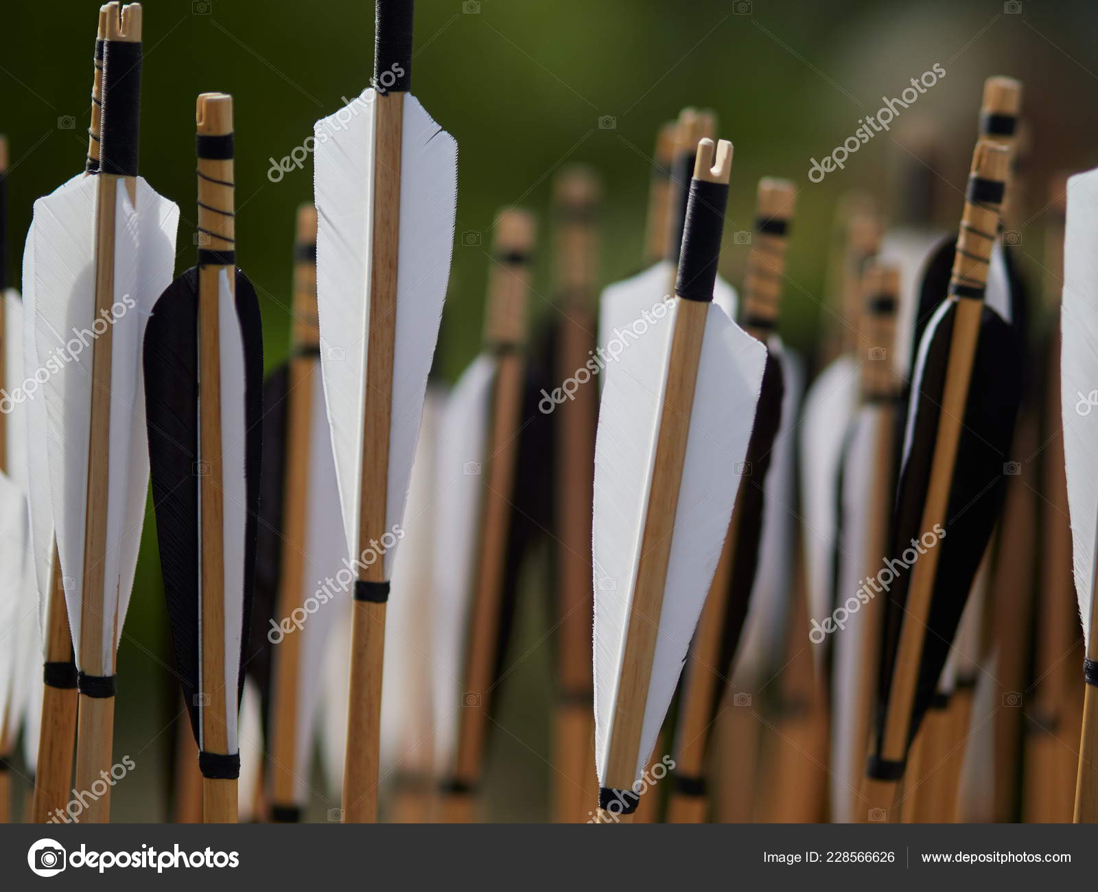 Hand Crafted Arrows Medieval Style Each Arrow Black White Color Stock ...